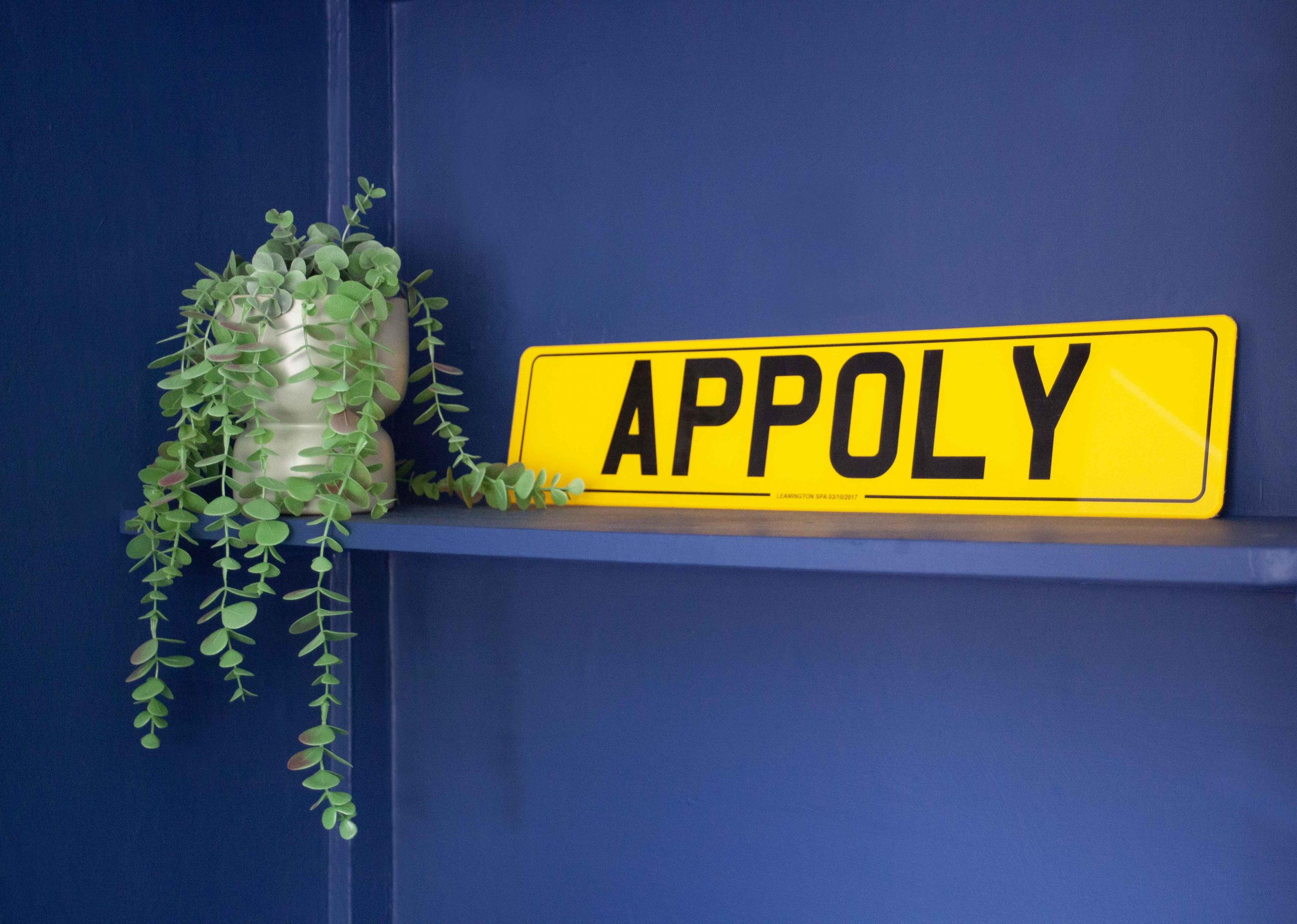 Visit Appoly and Experience a Creative (and Green) Workplace | Appoly